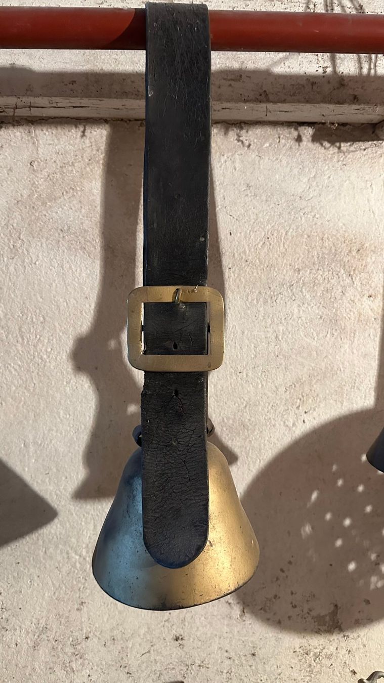 alte Kuhglocke, dunklerer Ton (Gebraucht) in Würenlos für CHF 15 – mit ...