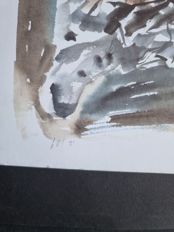 KÜNSTLER ? UNLESERLICH SIGNIERT GRAFIK NUMMERIERT (Gebraucht) in Gersau für CHF 38 – mit ...