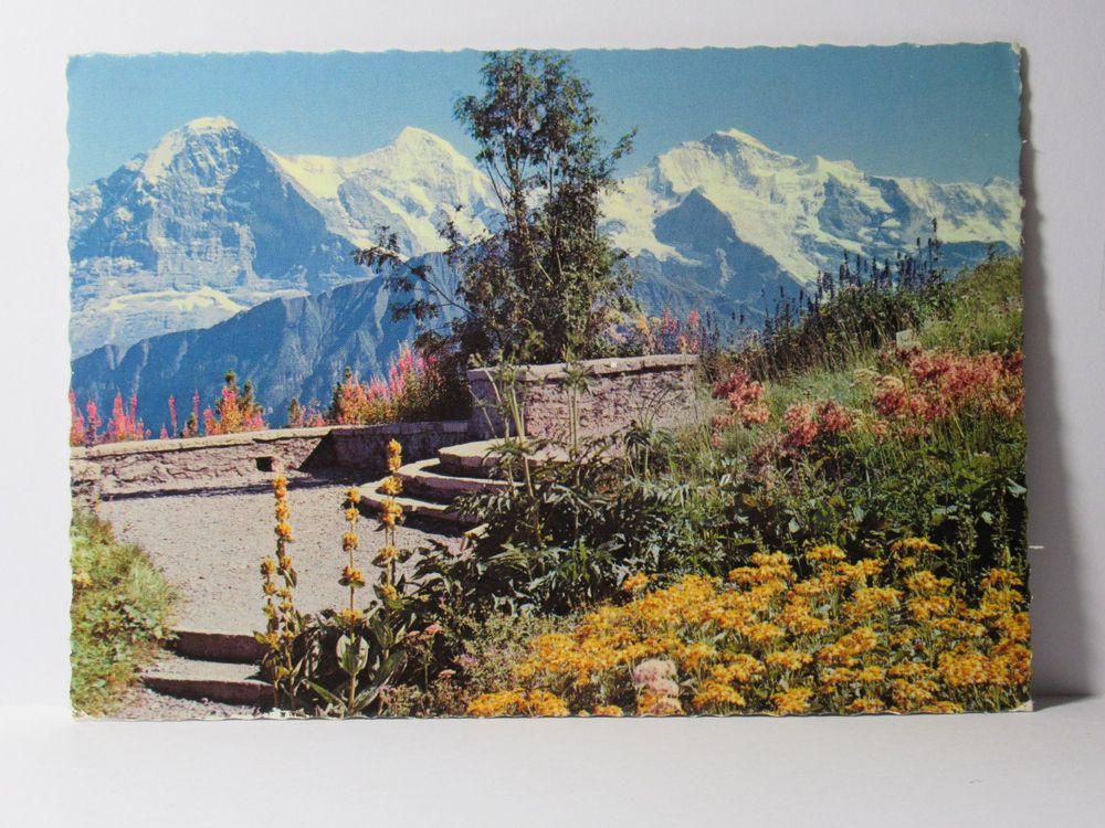Interlaken , Eiger , Mönch und Jungfrau (Gebraucht) in Grenchen für CHF ...