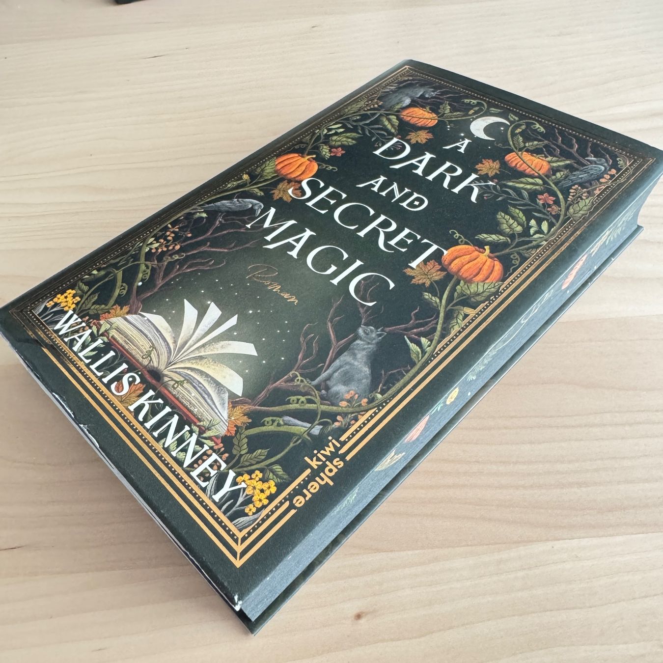 A dark and secret Magic von Wallis Kenney (Neu (gemäss Beschreibung ...