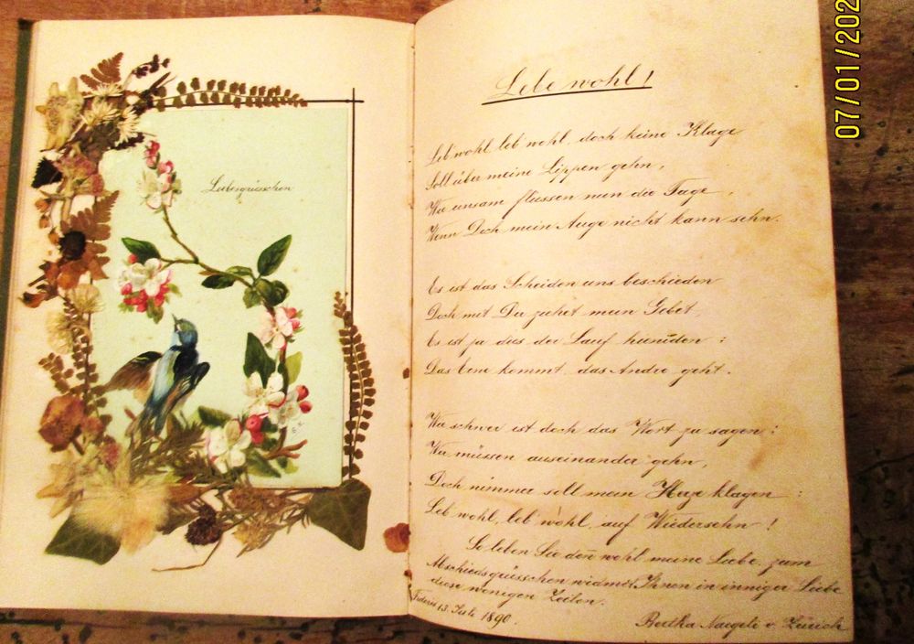 2 x Poesie Album 1904+1883 schöne Gedichte, Bilder+Einbände! (Gebraucht ...