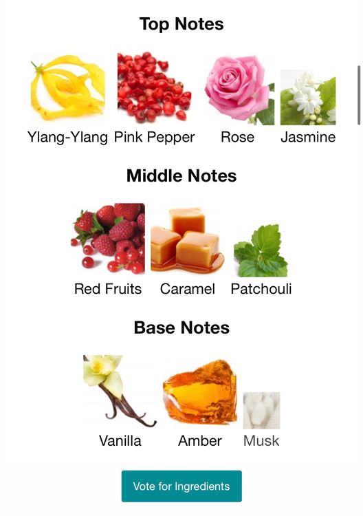 Paris Corner Arwa EDP5ML (Idôle Nectar Lancôme Dupe) (Gebraucht) in ...