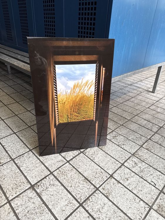 Bild aus Holz mit Glanz (Gebraucht) in Wittnau für CHF 35 – nur ...