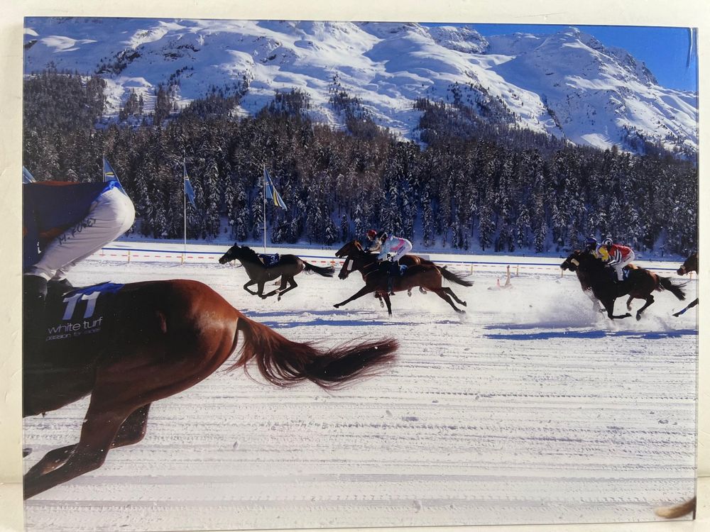 Rennverein St. Moritz - White Turf Fotografie (Gebraucht) in Neuhausen ...