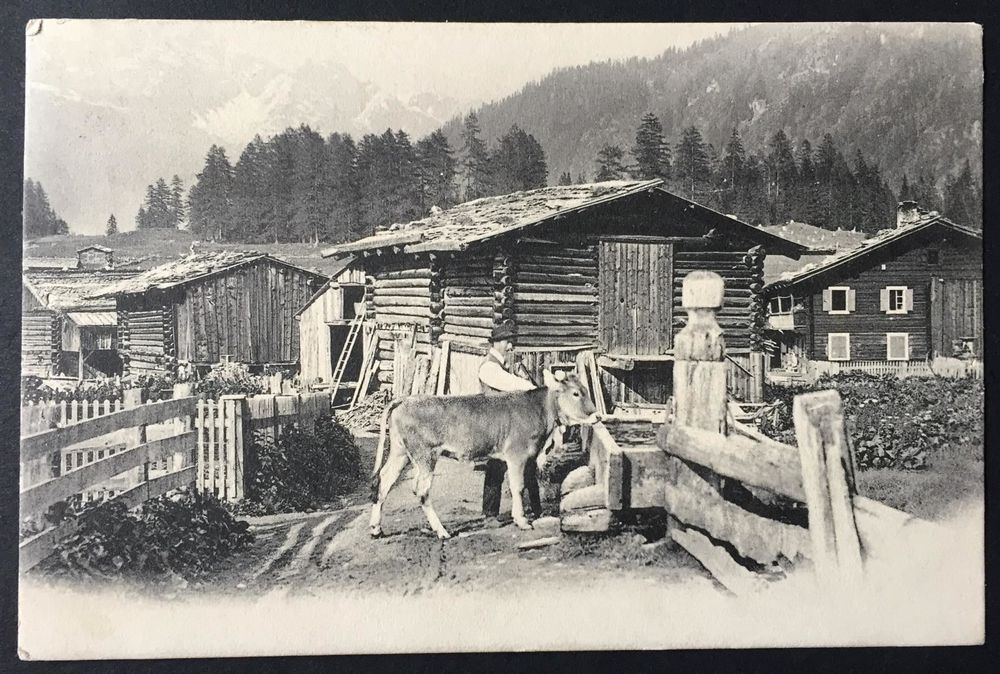 FLUMSERBERG Alp Gamperdon, Bauer mit Kuh (Gebraucht) in Jona für CHF 34 ...