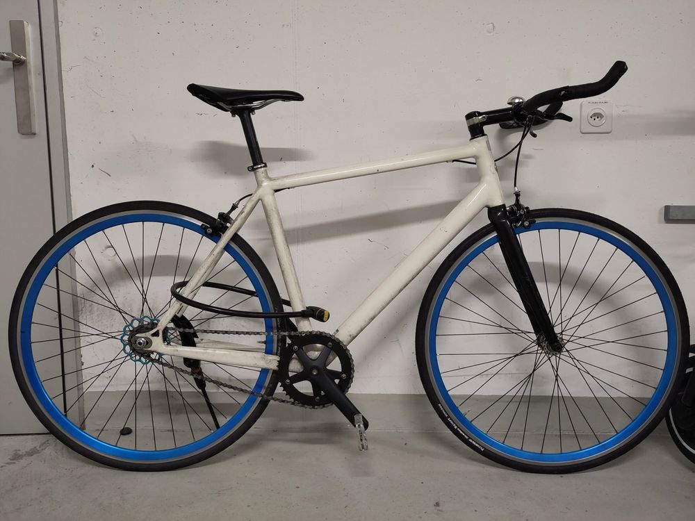 Star Bicycle Fixie (Single Speed) Fahrrad mit FREE&FIX-Nabe (Gebraucht ...