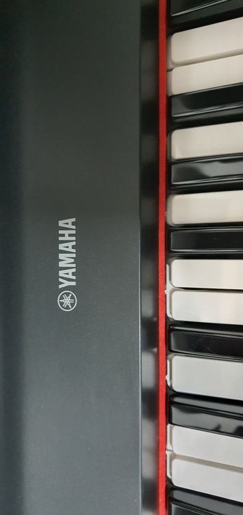Yamaha Piaggero NP-31 Keyboard schwarz (Gebraucht) in Jona für CHF 110 ...