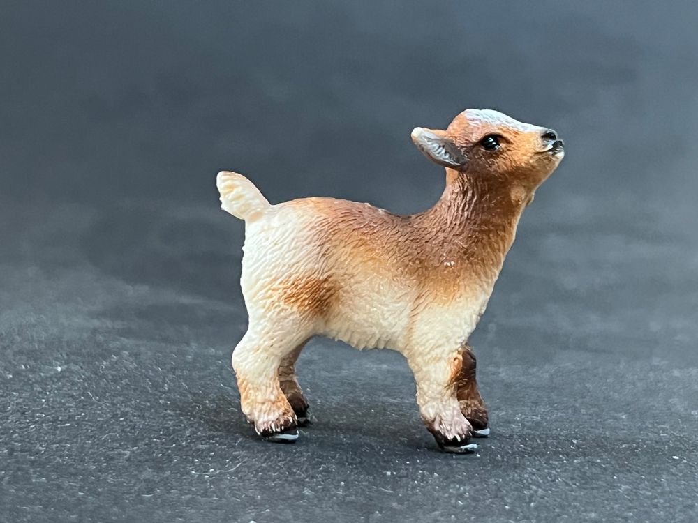 Schleich 13716 Zwergzicklein Ziege Zicklein (Gebraucht) in Ennetbaden für CHF 7 – mit Lieferung ...
