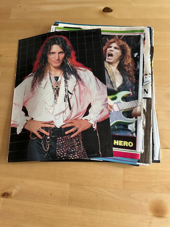 STEVE VAI DAVID LEE ROTH tolle rare Berichte VAN HALEN (Gebraucht) in ...