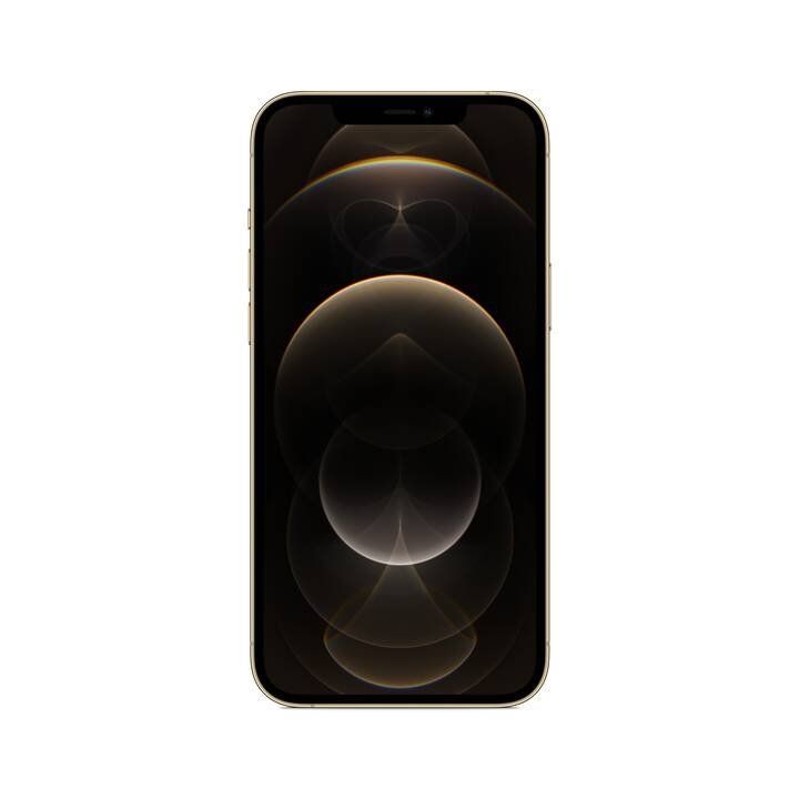 APPLE iPhone 12 pro Max ROSE GOLD Originalverpackt (Gebraucht) in ...