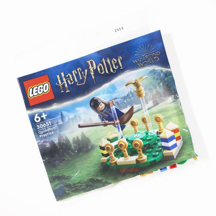 LEGO HARRY POTTER - QUIDDITCH PRACTICE Polybag 30651 OVP | Kaufen auf ...