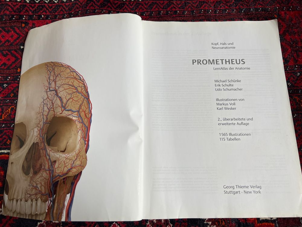 Prometheus Anatomie Neuroanatomie und Innere Organe | Kaufen auf Ricardo