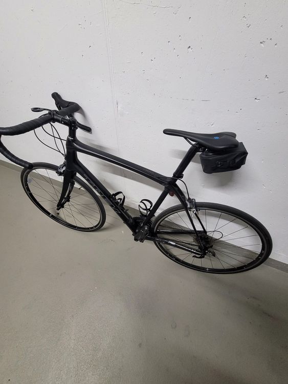Trek Domane 5,2 Carbon - Rennvelo (Gebraucht) in Udligenswil für CHF ...