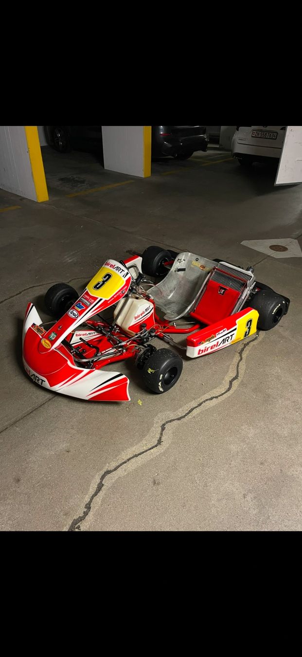 Rennkart Birel ART Go-Kart tm kz r2 (Neu (gemäss Beschreibung)) in ...