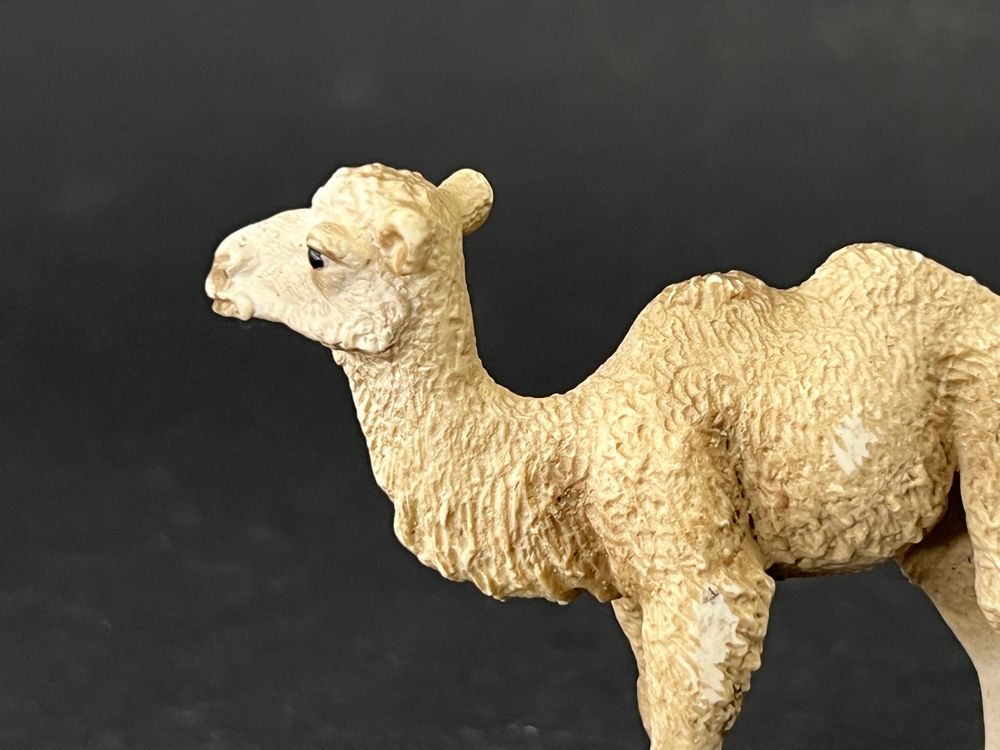 Schleich 14602 Trampeltier Fohlen Kamel (Gebraucht) in Ennetbaden für ...