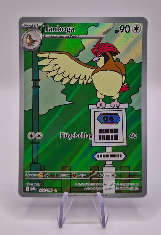 Tauboga / Pidgeotto / Obsidianflammen / OBF 208 (Neu (gemäss ...