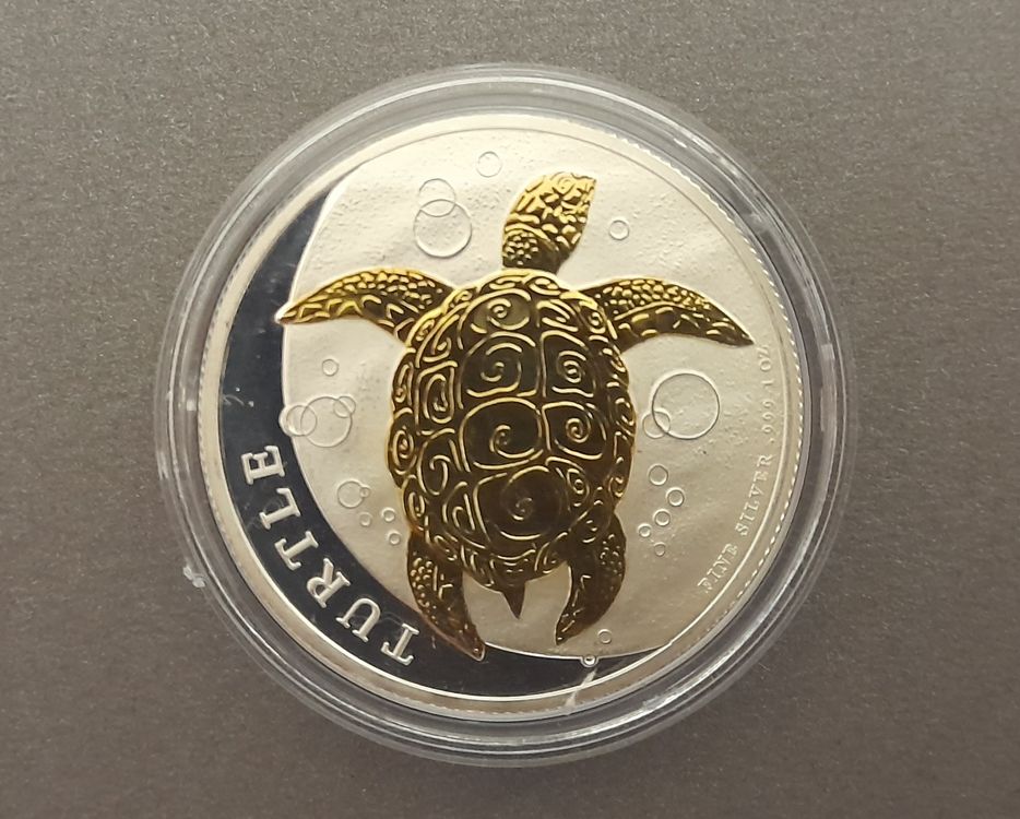 1 OZ Silber Niue Turtle 2022 mit Gold veredlung (Neu und ...