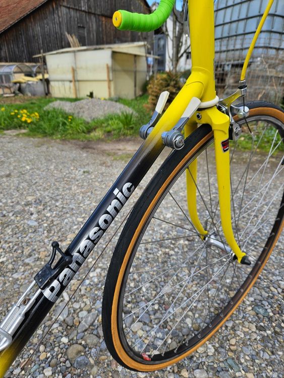 Rennvelo Panasonic DX 3000 vintage Renner (Gebraucht) in Grüningen für ...