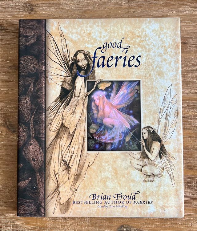 Buch Livre Good Faeries Bad Faeries Feen Fees Brian Froud (Neu (gemäss ...