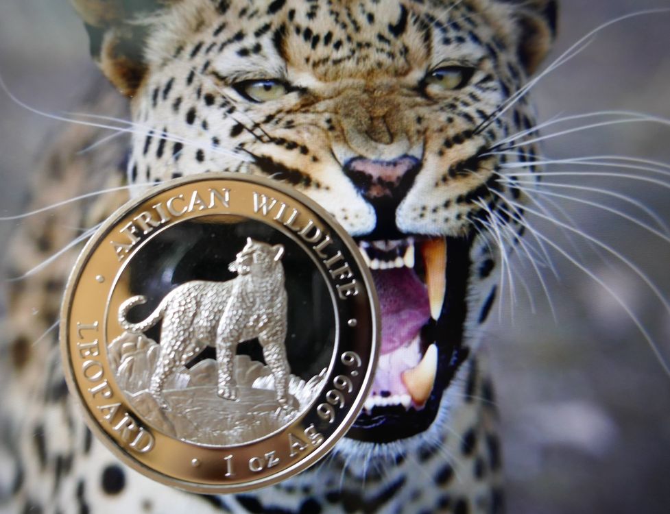 3 x 1 oz Silber9999 LEOPARD/Somalia 2022 TOP Sammler (Neu (gemäss ...
