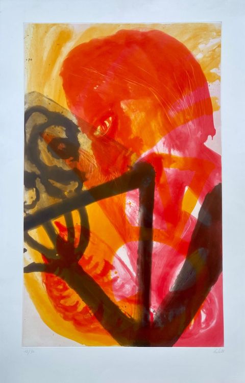 Martin Disler Radierung Handsigniert (Gebraucht) in Root für CHF 615 – mit Lieferung auf Ricardo ...