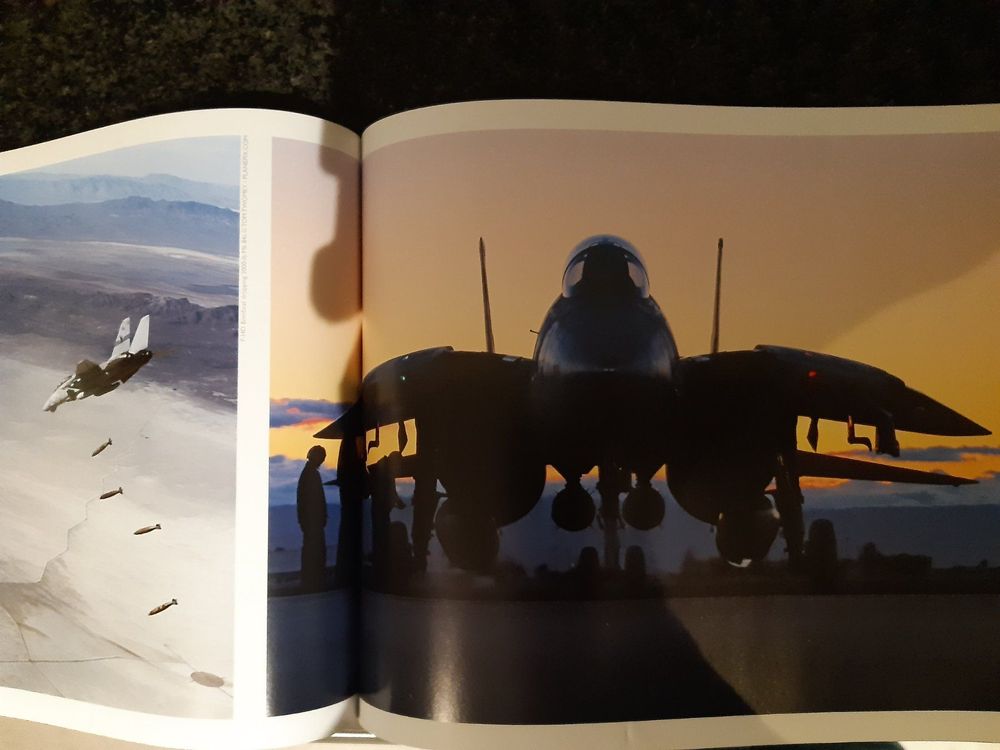 Grumman F-14 Tomcat Buch, 44 Selten! Sammler! (Gebraucht) in lyss für ...
