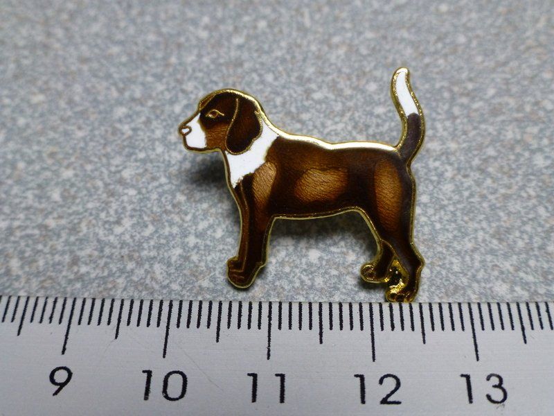 PIN PINS TIERE HUNDE HUND HUNDERASSEN | Kaufen auf Ricardo