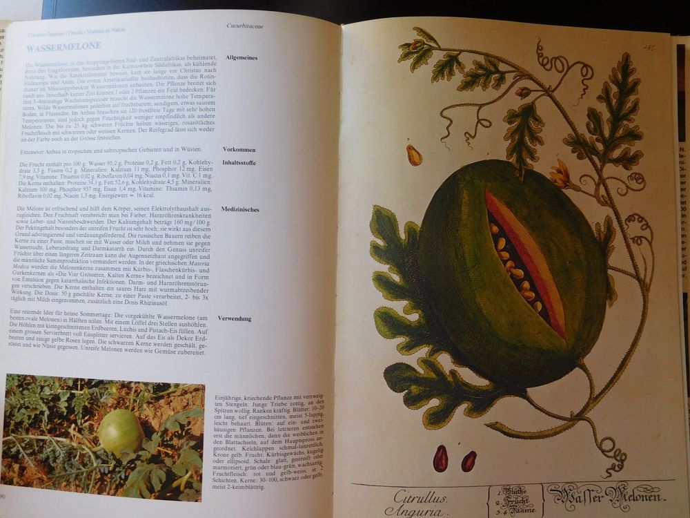 Natürliche Heilkräfte, Udupa/Tripathi, Ex Libris, 1980/83 (Neu (gemäss Beschreibung)) in Olten ...