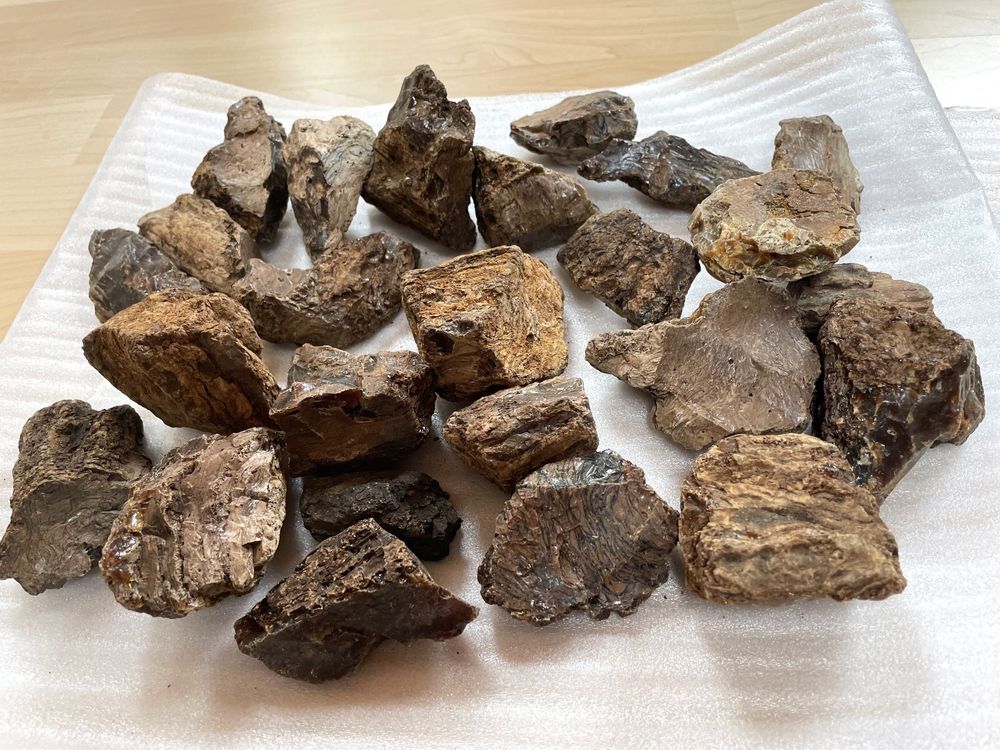 1 Kilo Bernstein Amber interessant woodamber TOP (Neu und ...