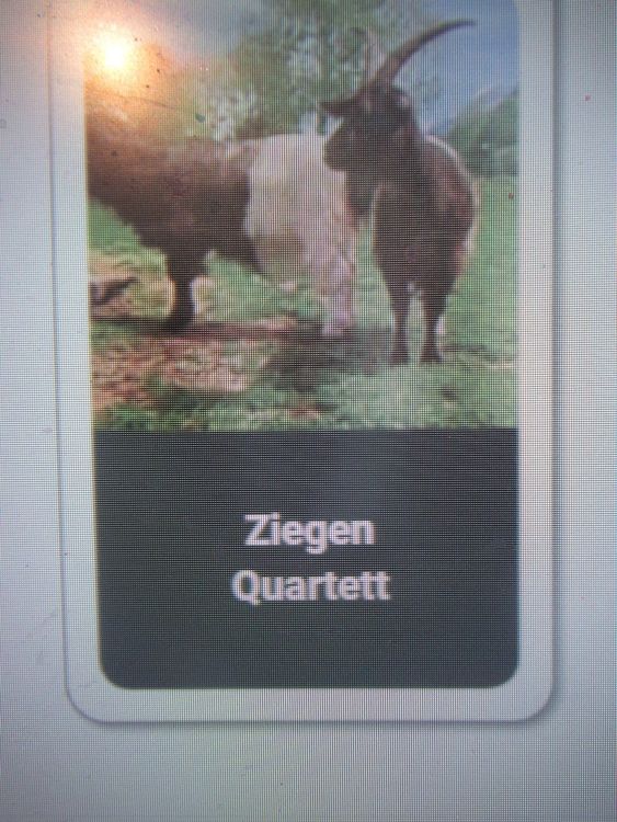 Ziegen Quartett 52 Karten (Neu und originalverpackt) in Herznach für CHF 32 – mit Lieferung auf ...