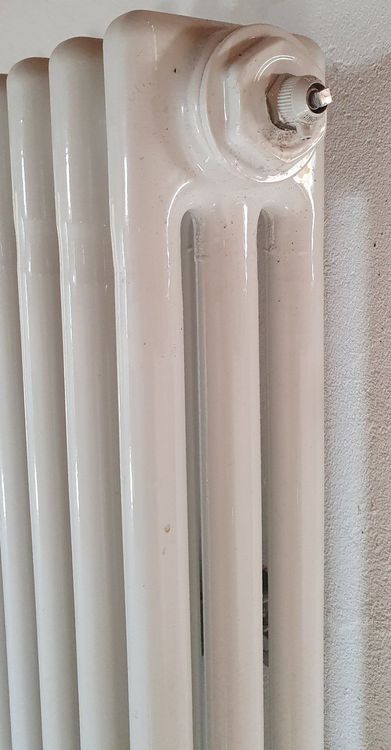 Röhrenradiator mit 3 Säulen H:180x 50 x 10 cm (Gebraucht) in Winterthur ...