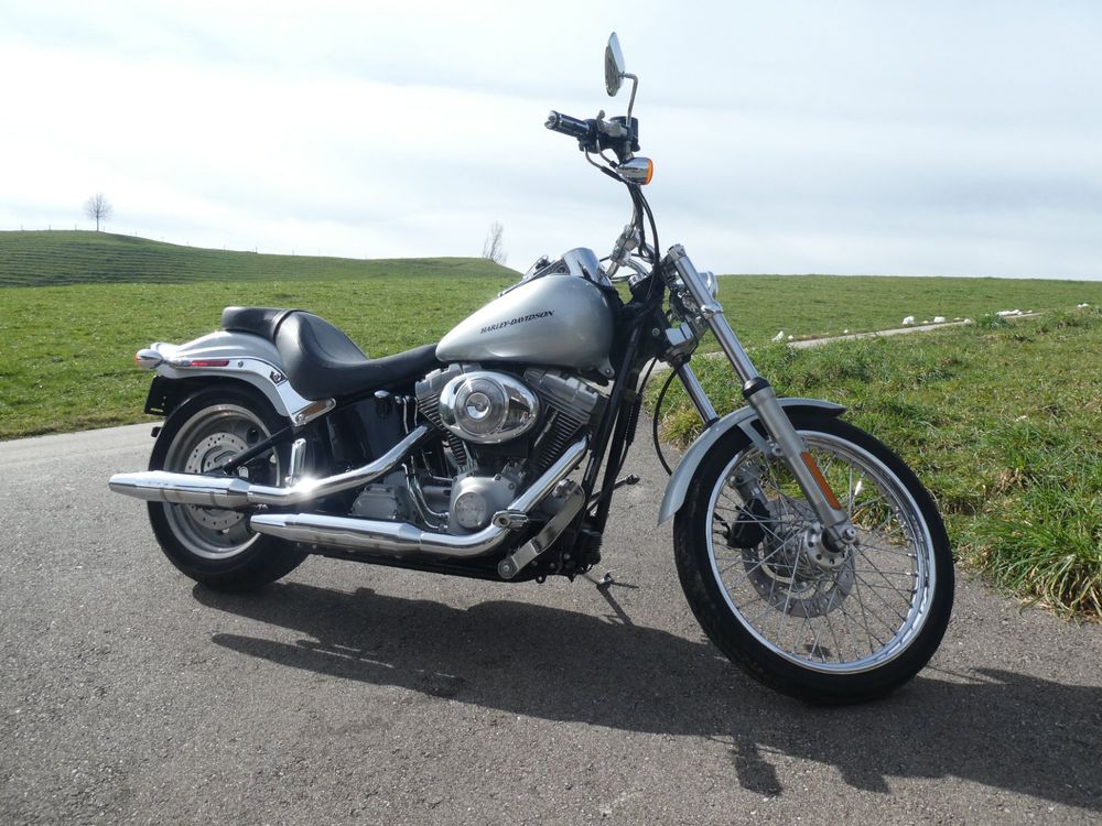 Harley Davidson FXST Softail Standard "Platinum Edition" (Gebraucht) in ...