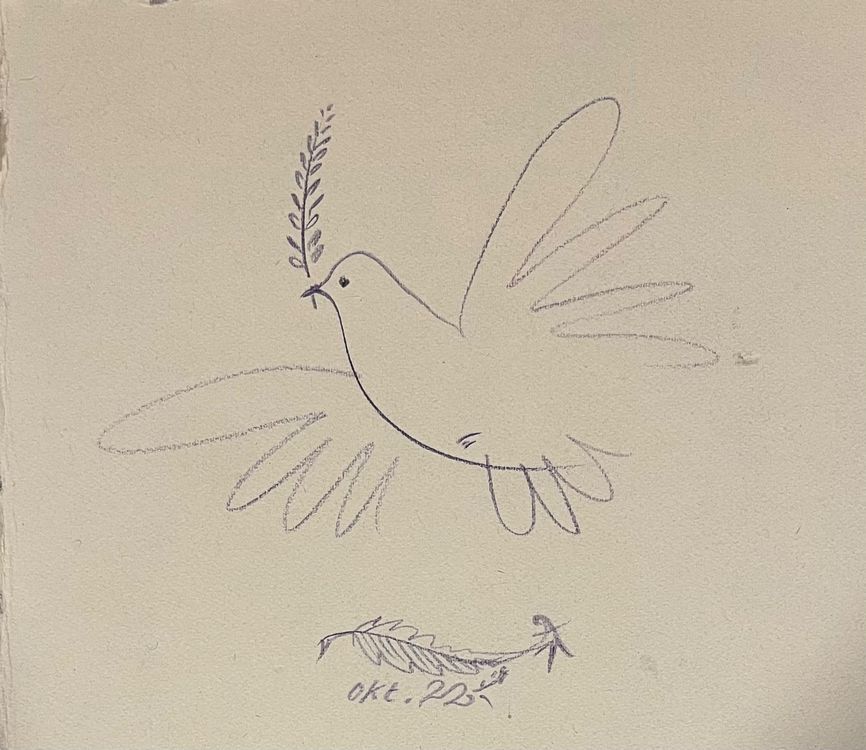 Friedens Taube Zeichnung | Kaufen auf Ricardo