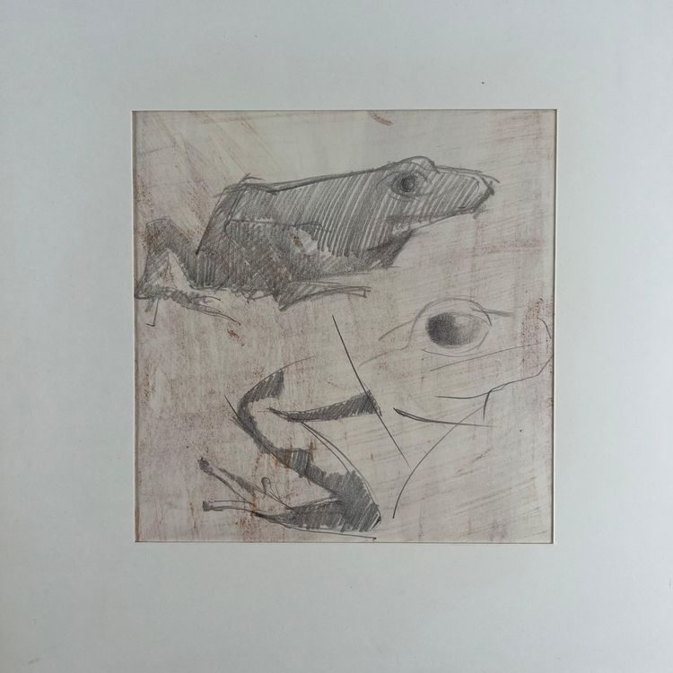 Schweizer Schule Zeichnung (Gebraucht) in Neuhausen am Rheinfall für CHF 1 – mit Lieferung auf ...