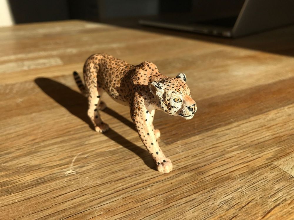 Schleich Leopard (Gebraucht) in Winkel für CHF 5 – mit Lieferung auf ...