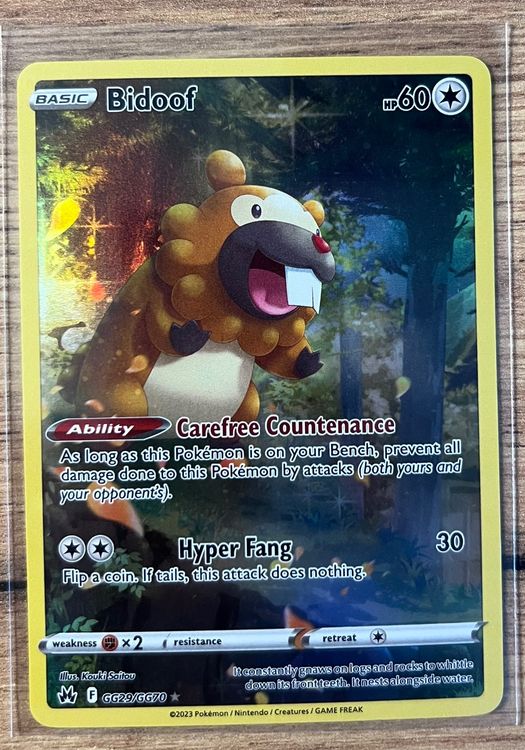 Bidoof GG29/70 Pokemon Galarian Gallery Crown Zenith | Kaufen auf Ricardo