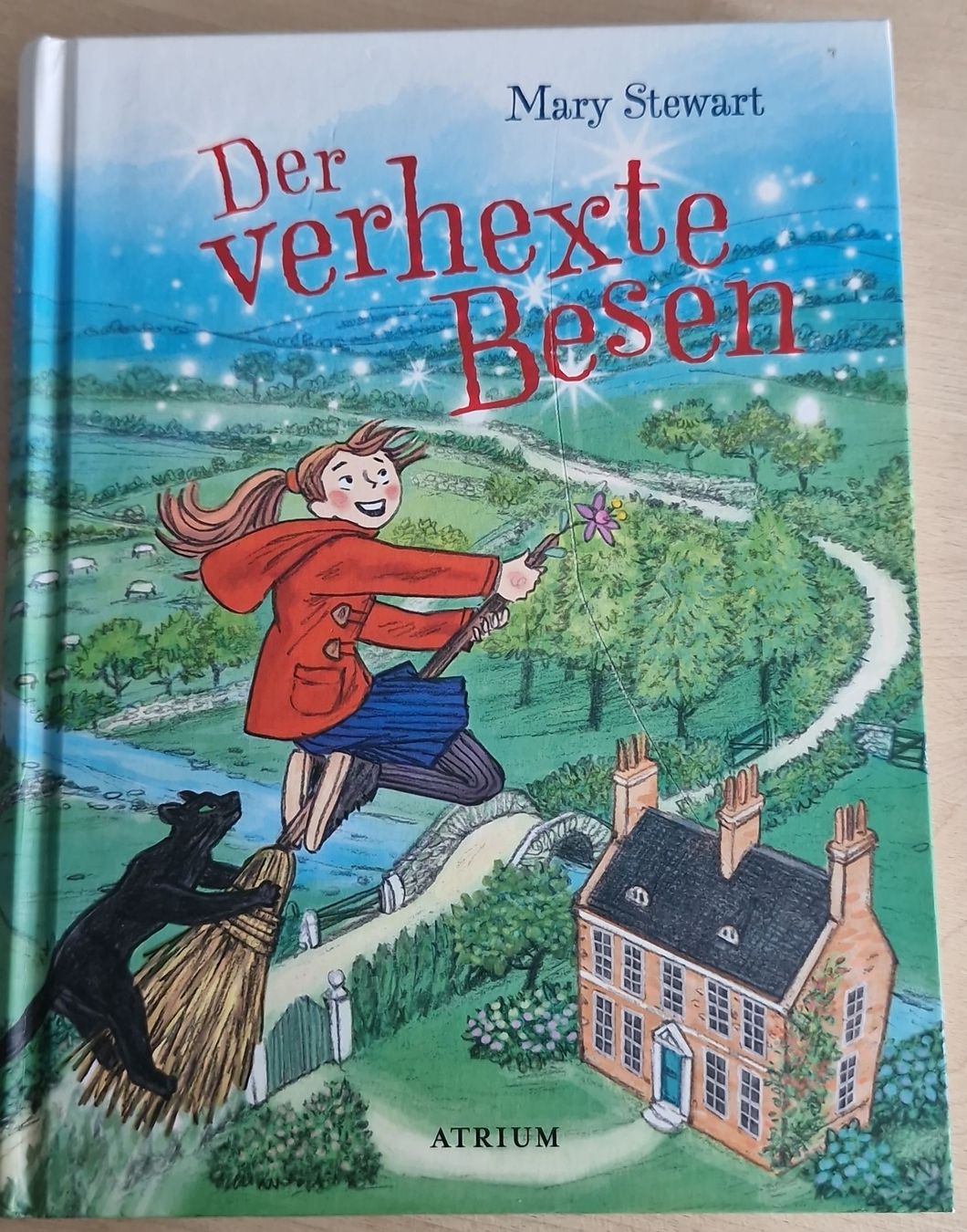 Der verhexte Besen von Mary Stuart (Neu (gemäss Beschreibung)) in ...