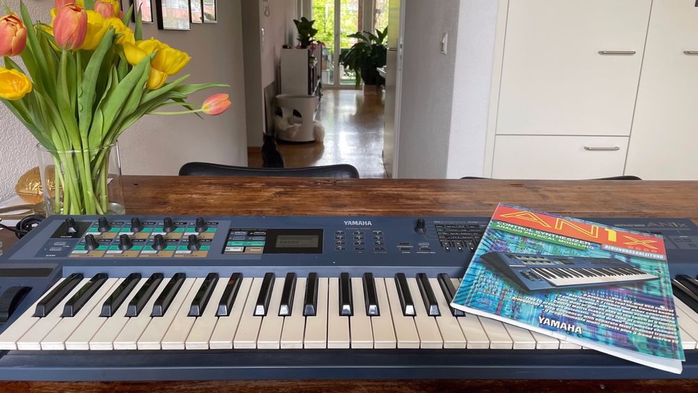 Yamaha AN1x - Analog Physical Modeling Synthesizer (Gebraucht) in ...