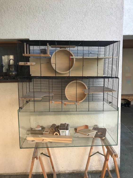 Mäusekäfig mit zusätzlicher Etage (Gebraucht) in Schinznach Dorf für ...