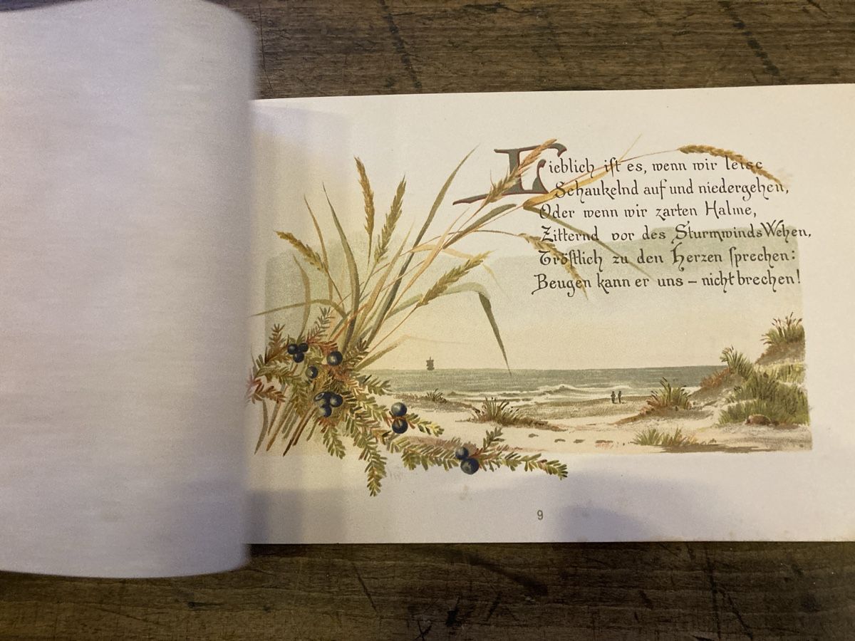 Bild und Gleichnis, E. Fehr 1892, St. Gallen (Gebraucht) in Zürich für ...