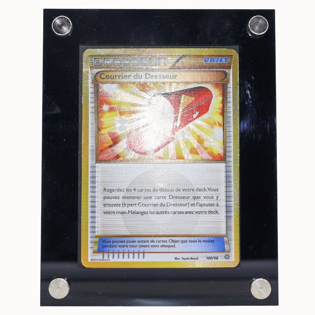 Courrier du Dresseur (AOR 100) - Pokémon TCG - XY - FR (Gebraucht) in ...