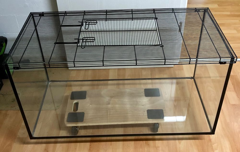 Terrarium 100x50x50 cm (Gebraucht) in für CHF 2 – nur Abholung auf ...