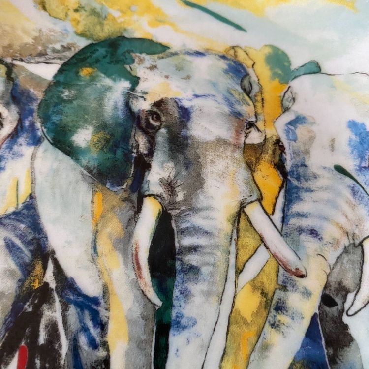 rolf knie magie der manege elefanten (Gebraucht) in Allenwinden für CHF 21 – mit Lieferung auf ...