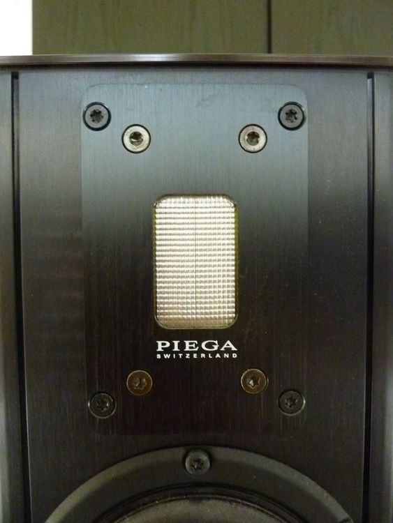 Piega Premium 3 Stand-Lautsprecher (Paar) Schwarz eloxiert (Gebraucht ...