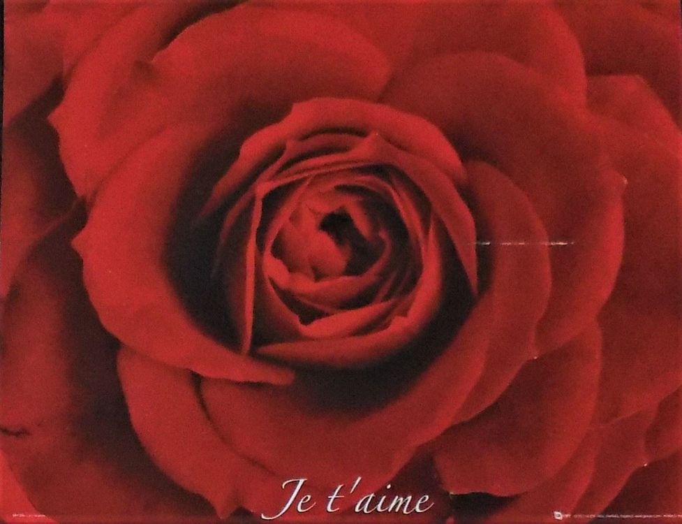 ICH LIEBE DICH JE T`AIME Rose 100 Poster | Kaufen auf Ricardo