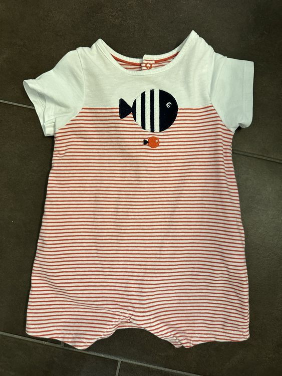 Kurzarm Strample /Onesie von Obaibi, Gr 6 Mt (Gebraucht) in Zürich für ...