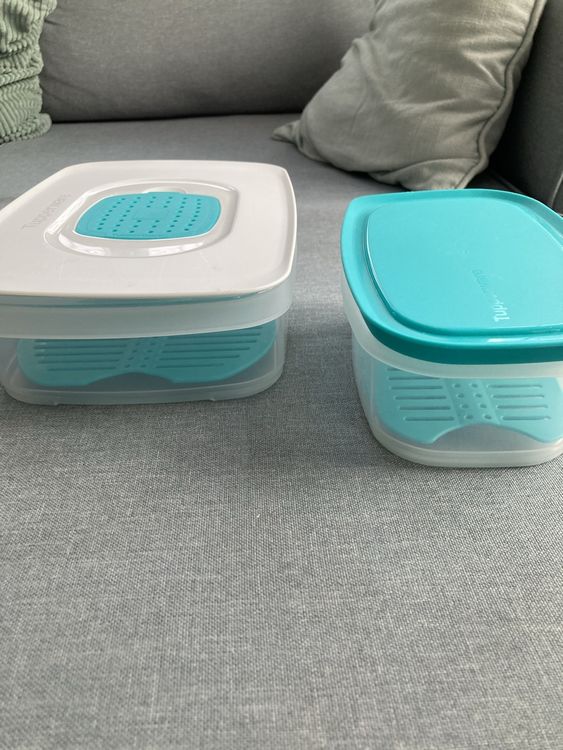 Tupperware Käsebox gross und Fleischaufbewahrungsbox (Gebraucht) in ...