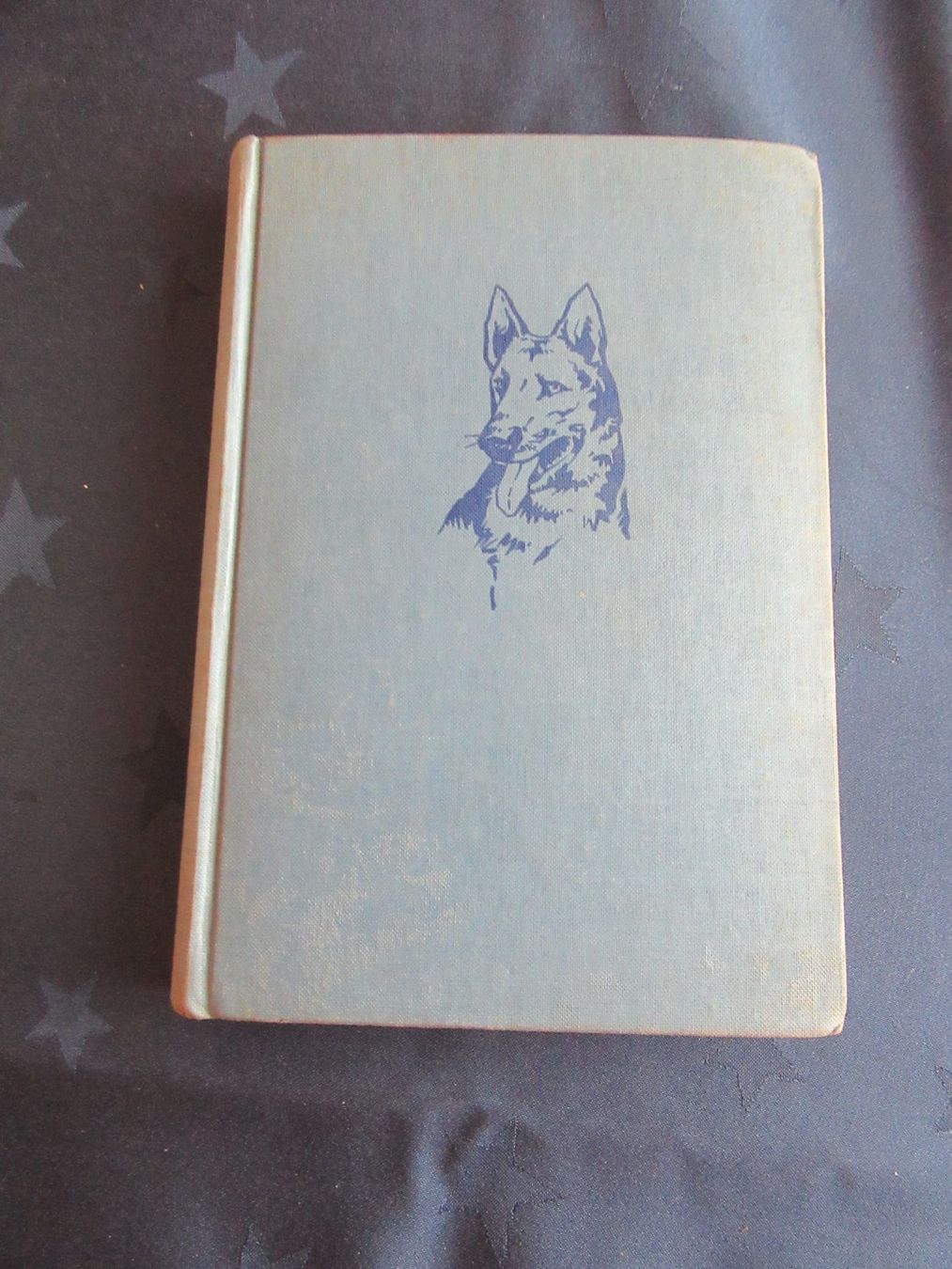 Rin Tin Tin, Das Geheimnis des schwarzen Wagens, Cole Fannin (Gebraucht ...