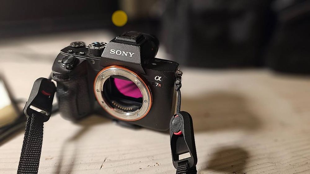 Sony Alpha 7R iii (A7RM3) | Kaufen auf Ricardo