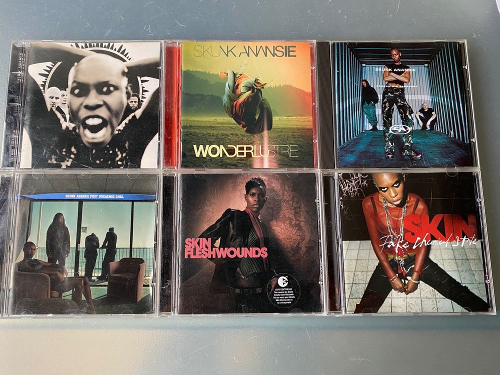 Skunk Anansie & Skin 6 CD‘s mit Frontfrau Deborah Anne Dyer | Kaufen ...